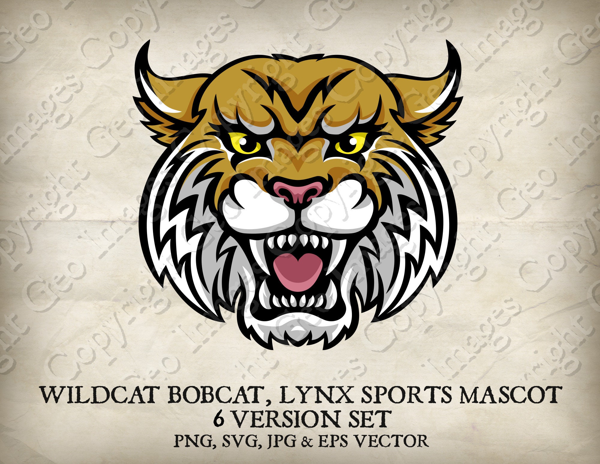 Wildcat Bobcat Cougar Lynx Lion Sports Mascot Wildcats Bobcats Cougars ...
