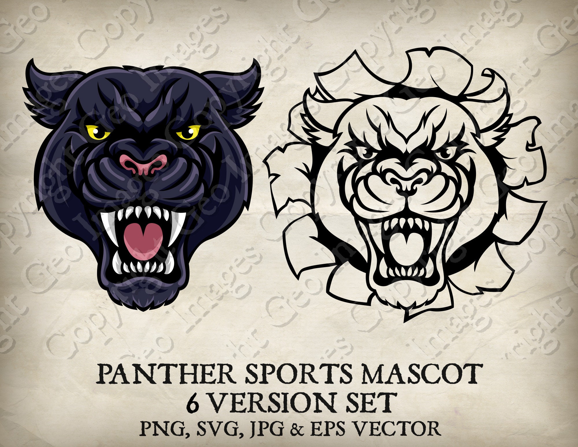 Panther Vector
