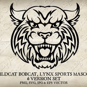 Wildcat Bobcat Cougar Lynx Lion Sports Mascot Wildcats Bobcats Cougars ...