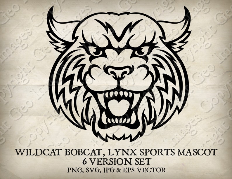 Wildcat Bobcat Cougar Lynx Lion Sports Mascot Wildcats Bobcats Cougars ...