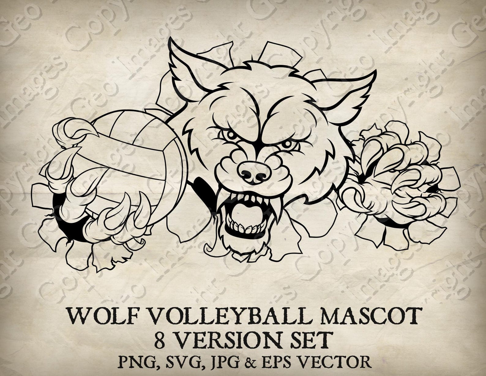 Wolf Werewolf Holding Volleyball Ball in Claw Mascot Angry Coyote Dog ...