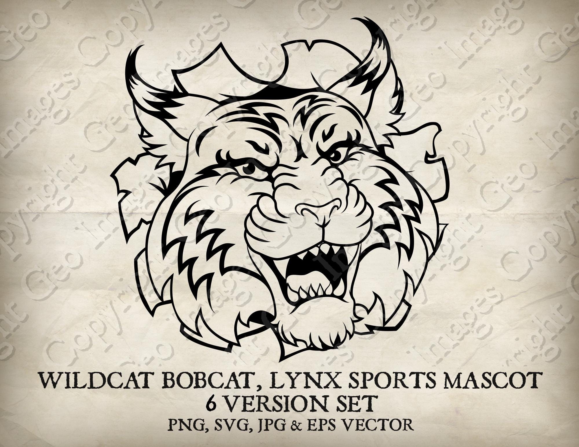 Wildcat Bobcat Cougar Lynx Lion Sports Mascot Wildcats Bobcats Cougars ...