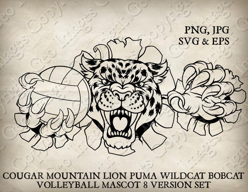 Jaguar Leopard Cheetah Panther Wildcat Bobcat Cat Volleyball Ball Team ...