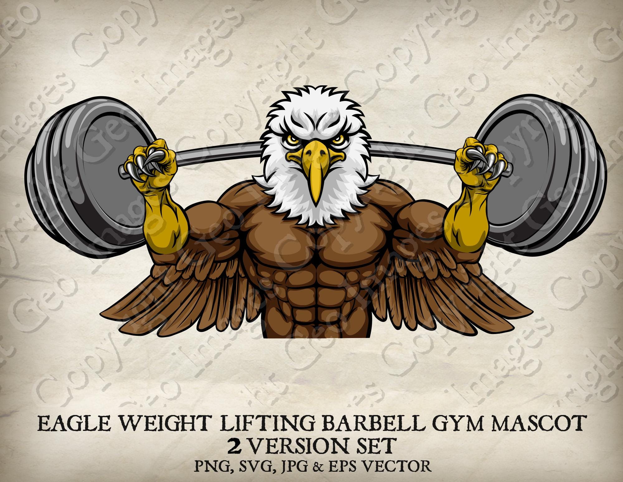 American Bald Eagle Hawk Falcon Weight Lifting Deadlift Barbell ...