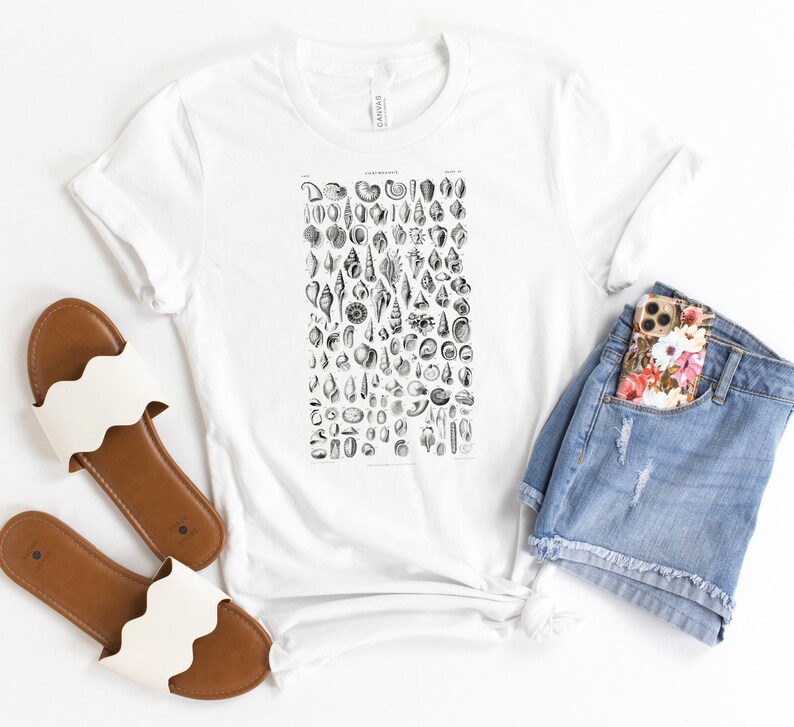 Vintage Conch Conchology Scientific Sea Shells Shirt, Seashells Premium ...