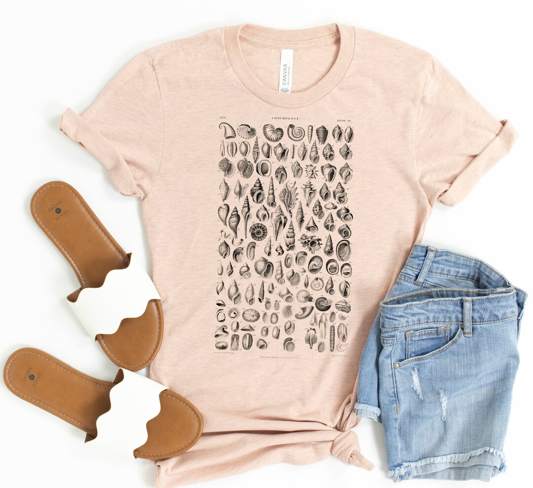 Vintage Conch Conchology Scientific Sea Shells Shirt, Seashells Premium ...