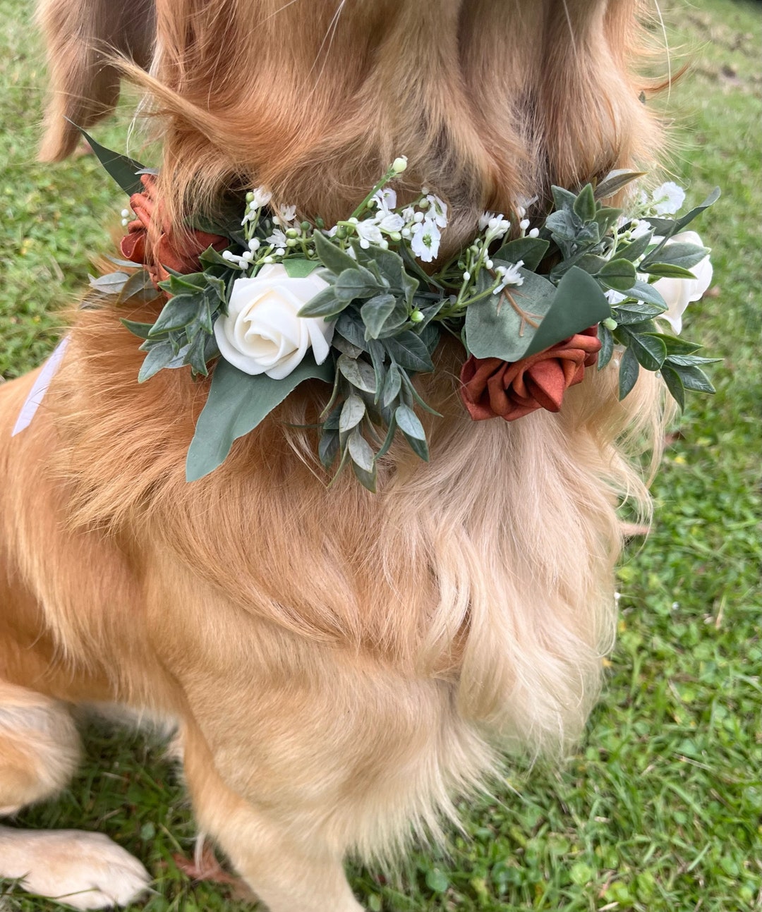 Wedding Dog Collar, Floral Ring Dog Collar, Terracotta and Cream Dog ...