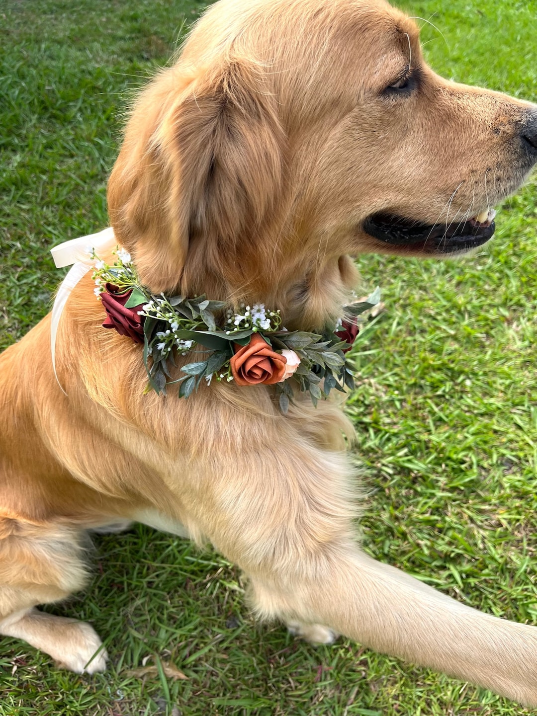 Wedding Dog Collar, Floral Ring Dog Collar, Terracotta and Rust Dog ...
