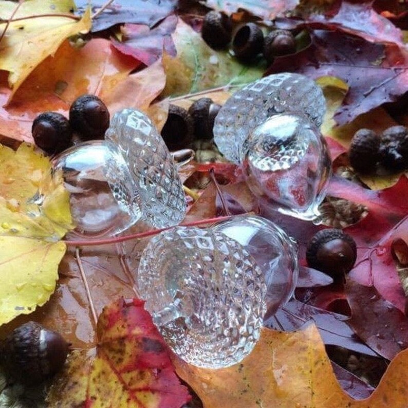 Clear Glass Acorn Thanksgiving Fall Decoration Nature - Etsy