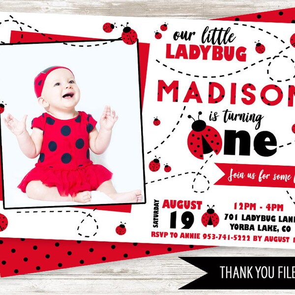 Ladybug 1st Birthday - Etsy