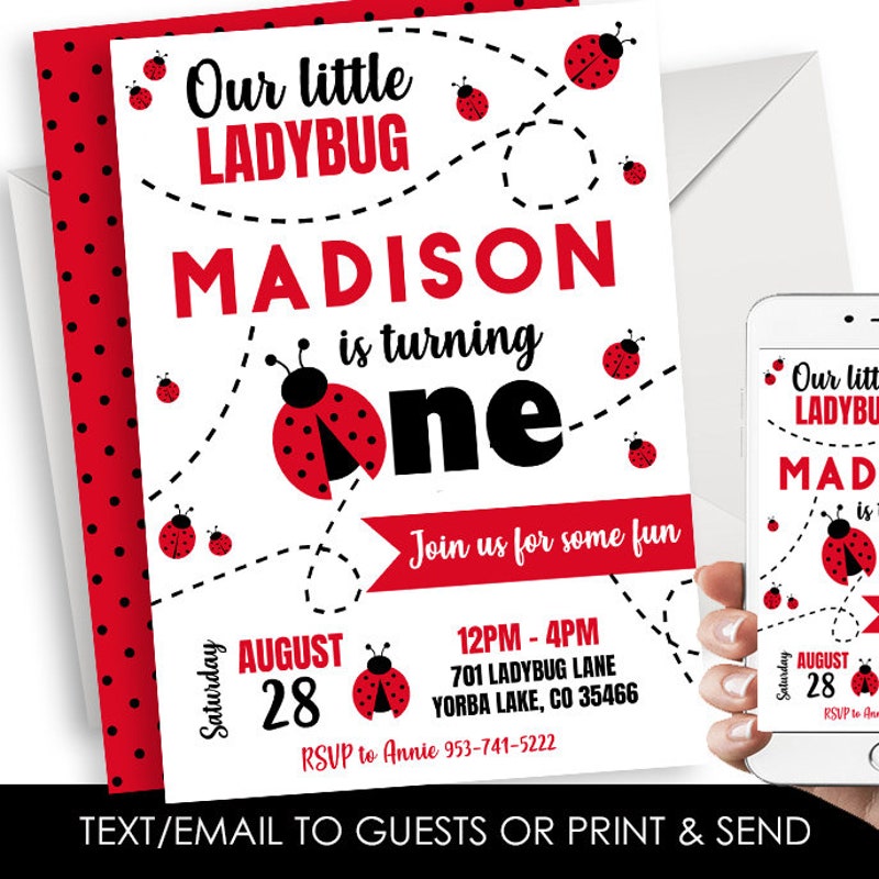 Ladybug 1st Birthday - Etsy