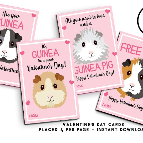 Guinea Pig Accessories - Etsy