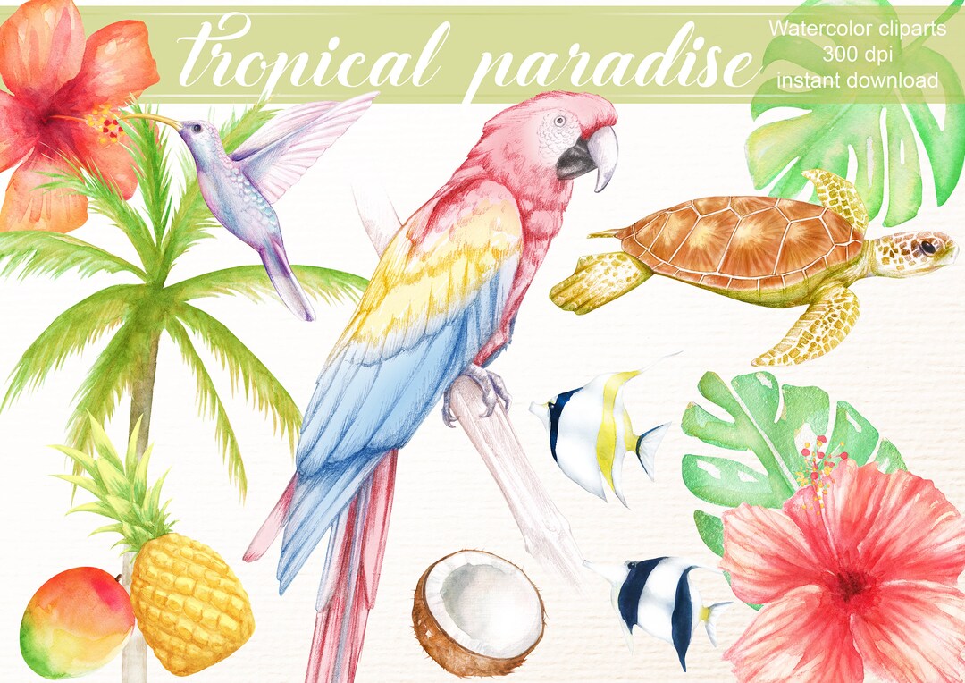 Tropical Watercolor Clipart, Hawai Clipart, Turtle Clipart, Summer ...