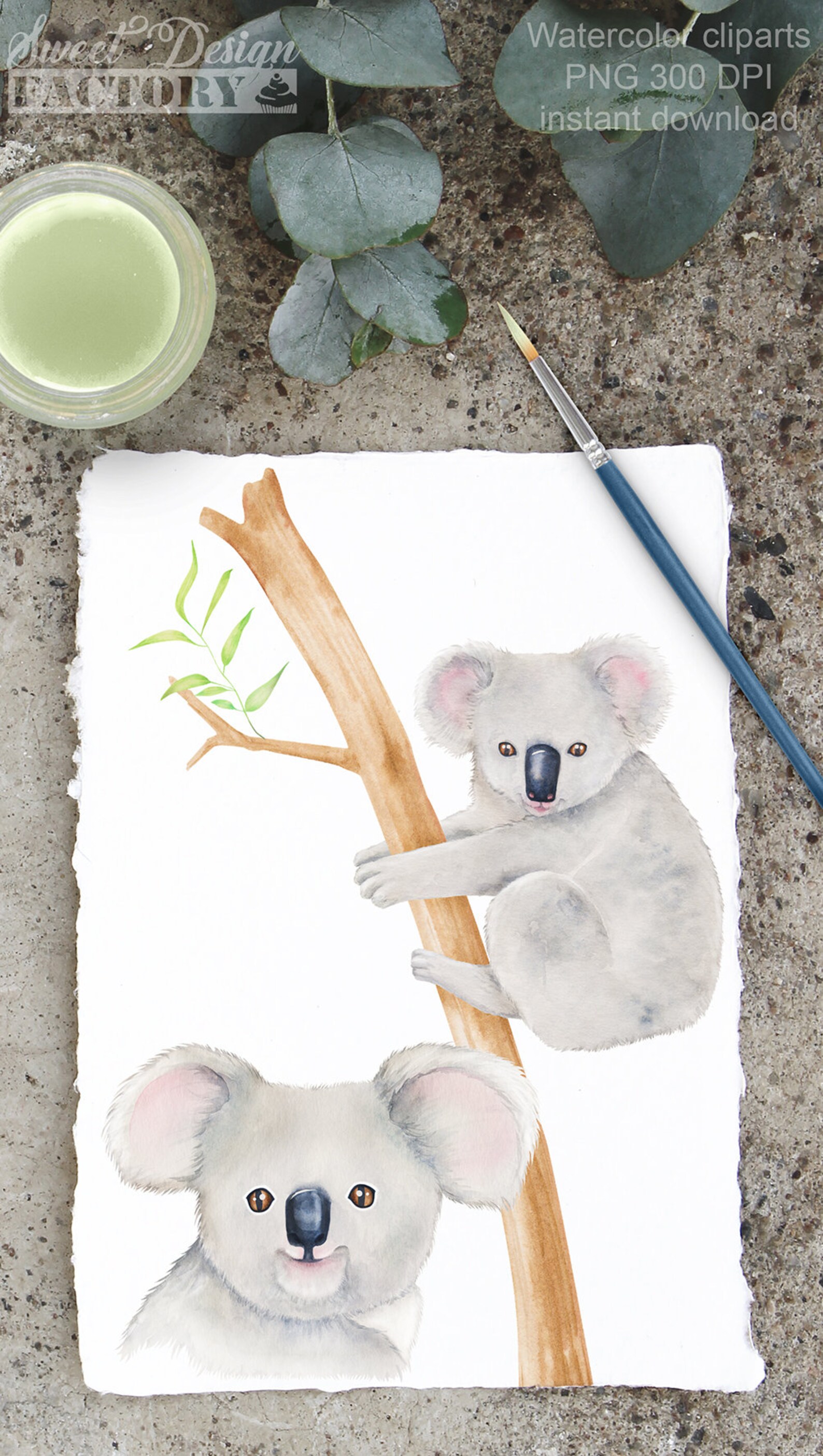 Koala watercolor clipart baby koala clipart floral clipart | Etsy