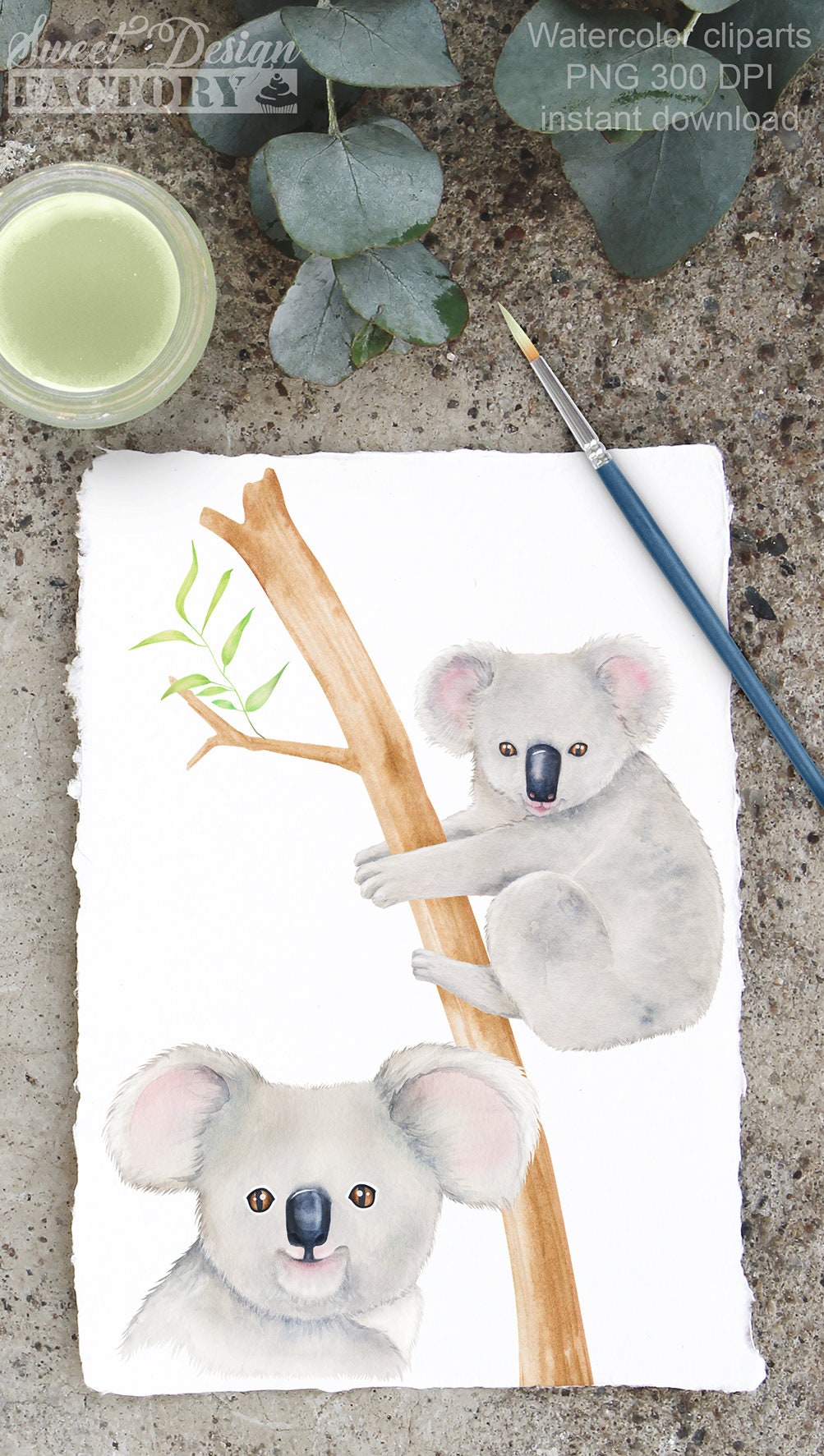 Koala watercolor clipart baby koala clipart floral clipart | Etsy