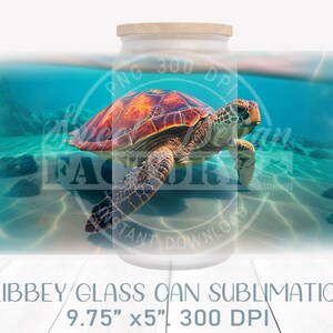 Sea Turtle Glass Can Png, 16 Oz Libbey Glass Can Tumbler Sublimation ...
