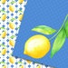 Watercolor Lemon Paper Pack, Citrus Digital Paper, Lemon Sublimation ...