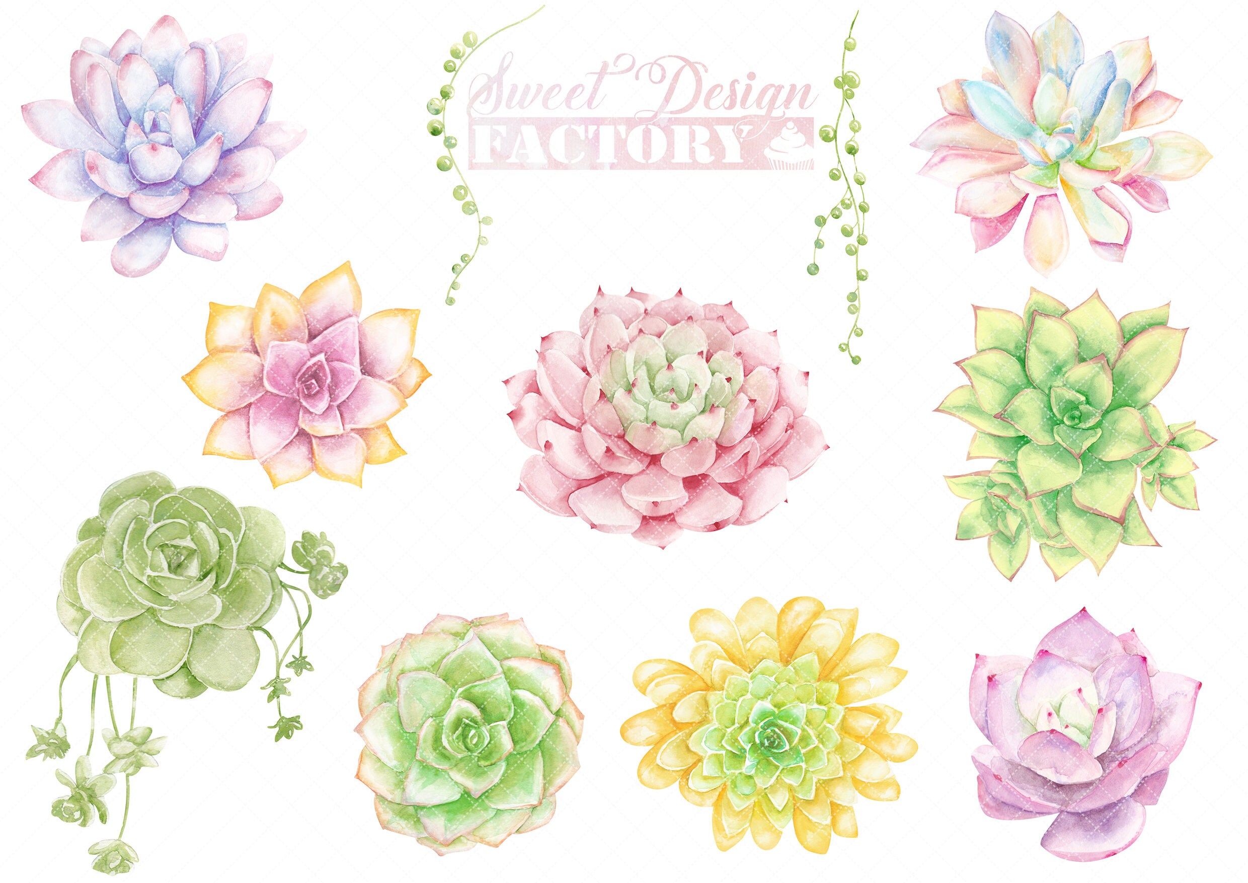 Succulent Watercolor Clipart Spring Watercolor Watercolour - Etsy