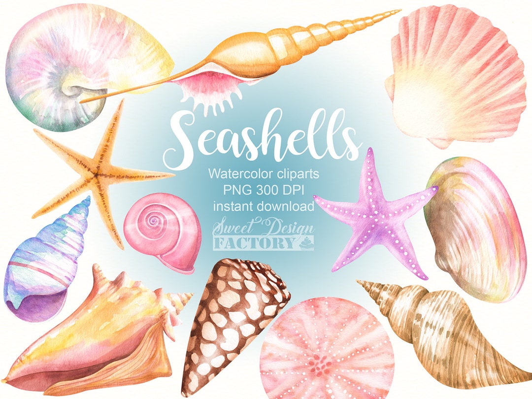 Seashell Watercolor Clipart, Nautical Clipart, Seaside Clip Art, Beach ...
