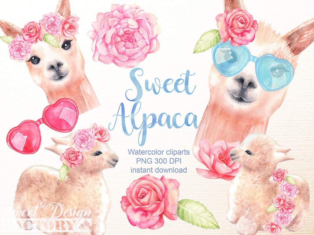 Llama Watercolor Clipart, Alpaca Graphics, Watercolor Clipart, Floral ...