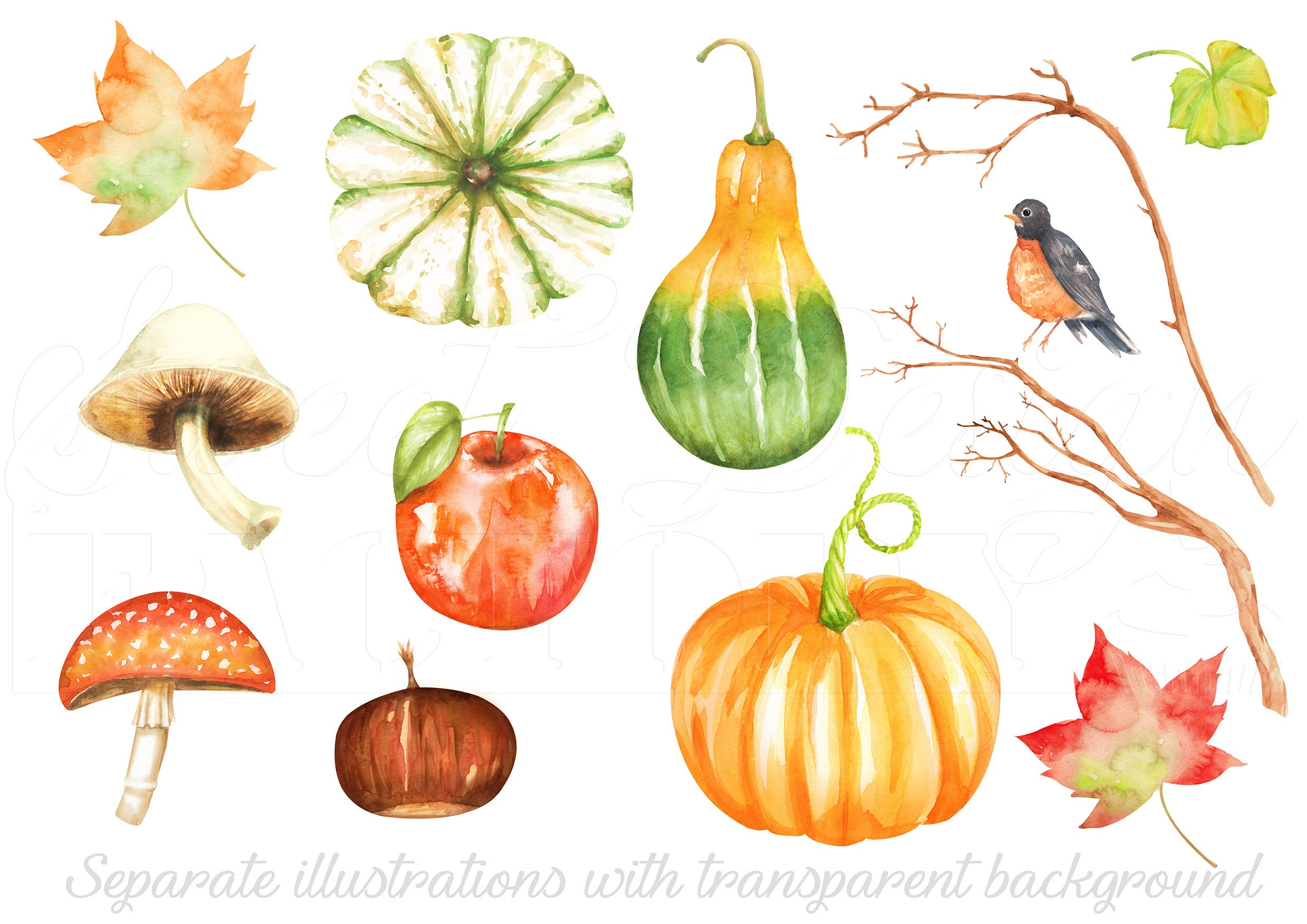 Watercolor Fall PNG Harvest Watercolor Clip Art Pumpkin PNG - Etsy