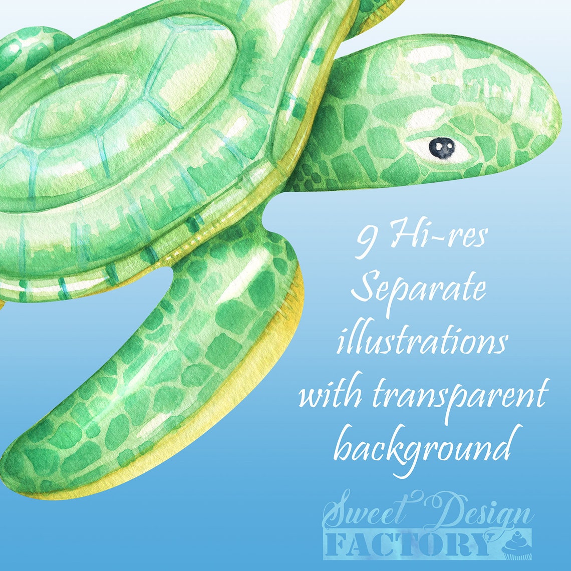 Pool Float Watercolor Clipart / Pool Clipart/ Beach Clipart/ | Etsy