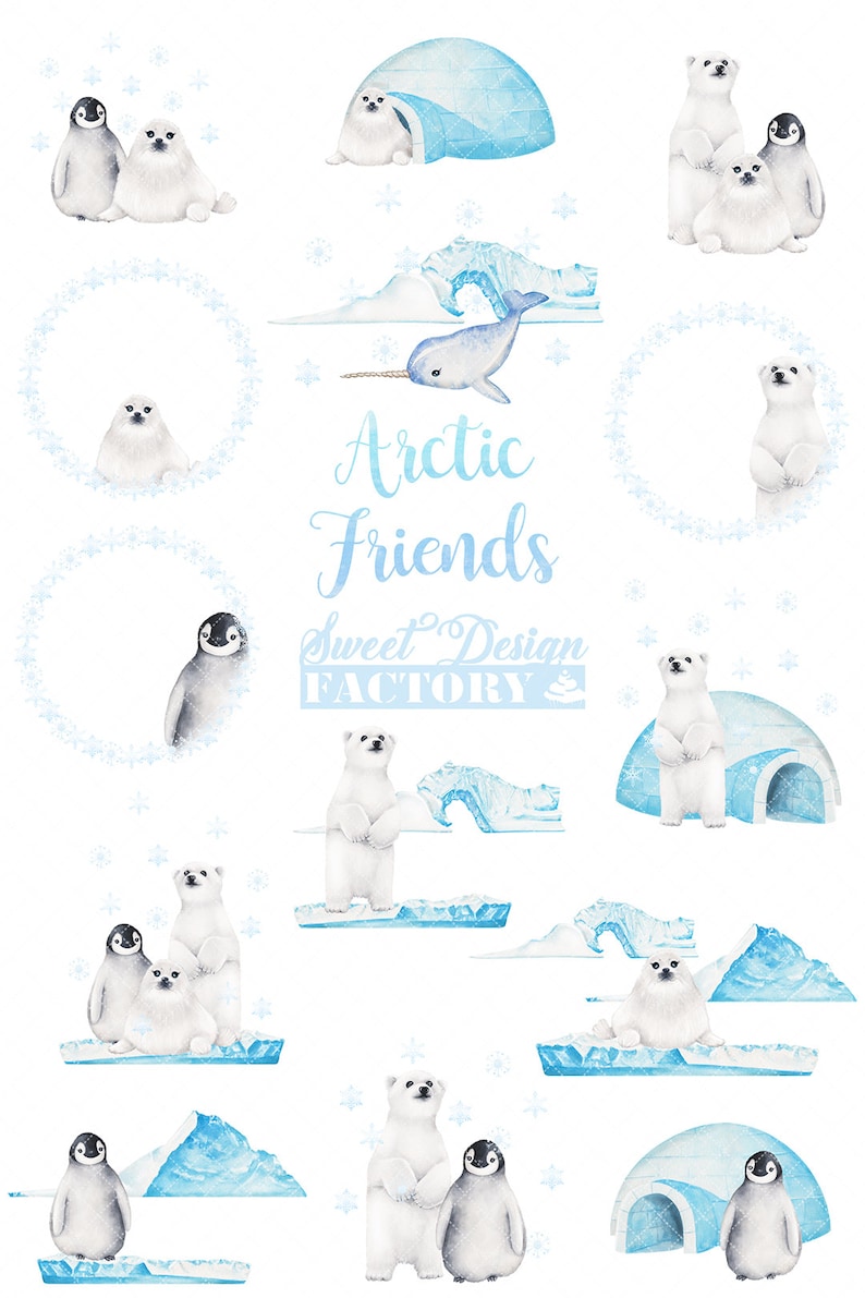 Winter Animal Sublimation Designs Bundle Arctic Animals Png | Etsy