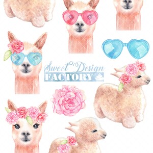 Llama Watercolor Clipart, Alpaca Graphics, Watercolor Clipart, Floral ...