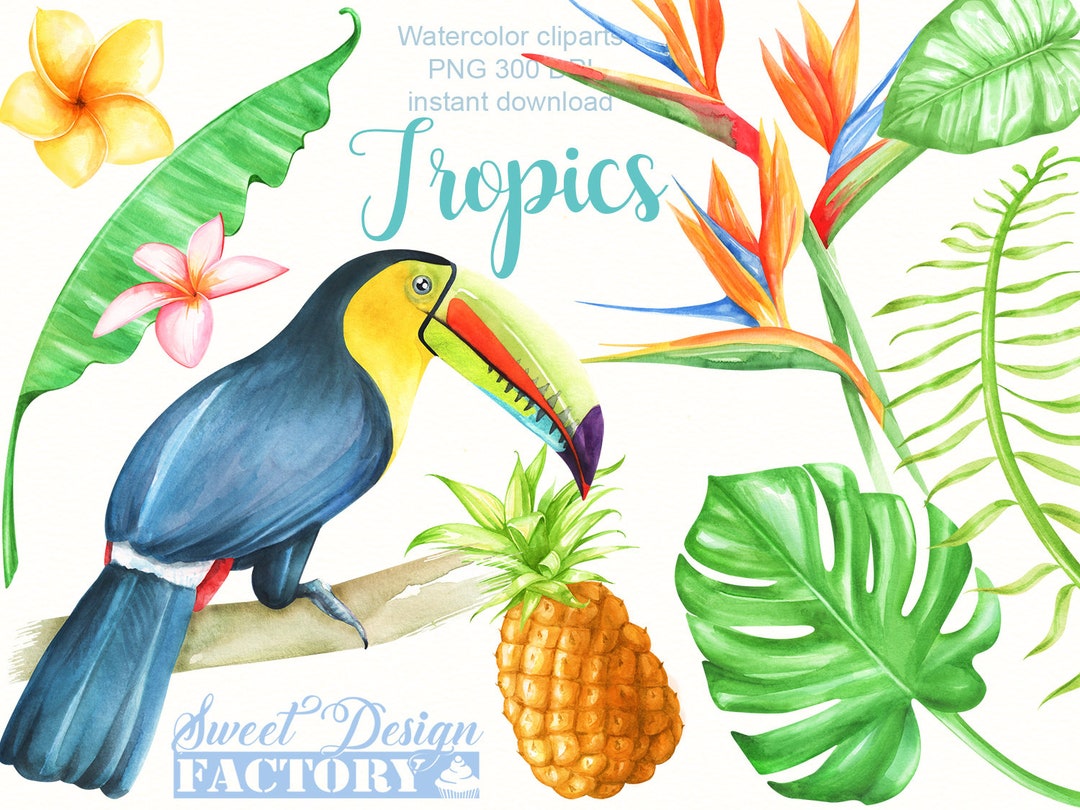 Tropical Watercolor Clipart, Hawaii Clipart, Toucan Clipart, Tropical ...