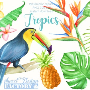 Tropical Watercolor Clipart, Hawaii Clipart, Toucan Clipart, Tropical ...