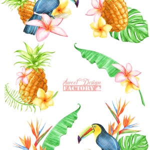Tropical Watercolor Clipart, Hawaii Clipart, Toucan Clipart, Tropical ...