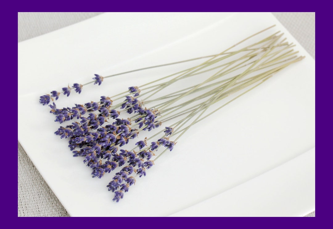 Organic Lavender Cocktail Picks \ Dried English Lavender Sprigs ...
