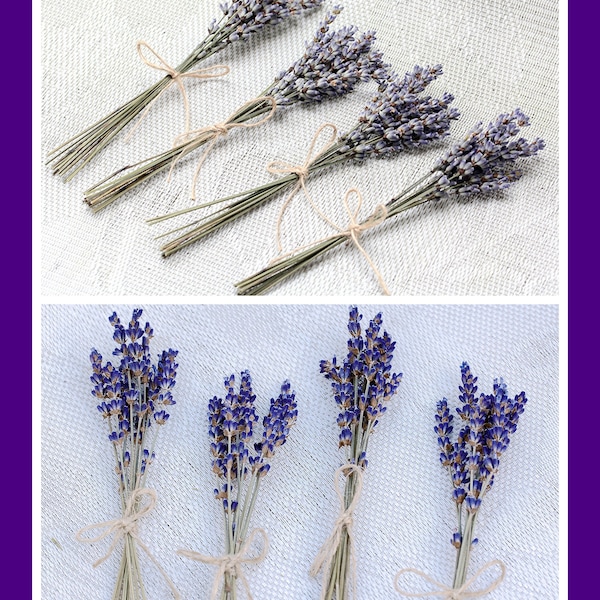 Lavender Sprigs - Etsy