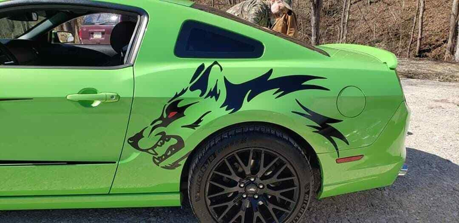 X2 Coyote Vinyl Graphic Decal Sticker Fits Ford Mustang - Etsy
