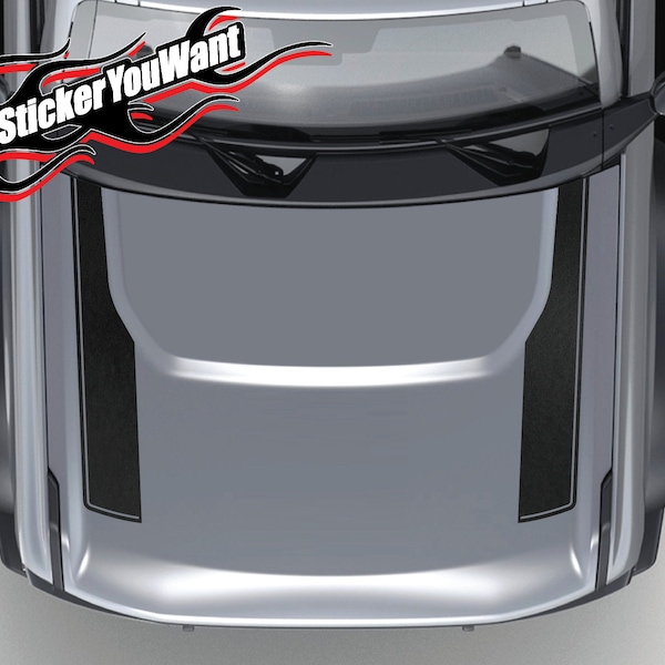 Ford Bronco Pinstripe - Etsy