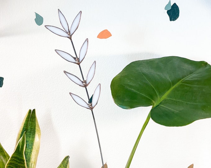 Samara Designs Studio