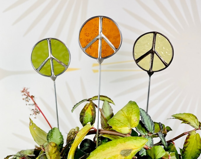 Samara Designs Studio