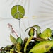 Peace Sign Plant Stake - Etsy