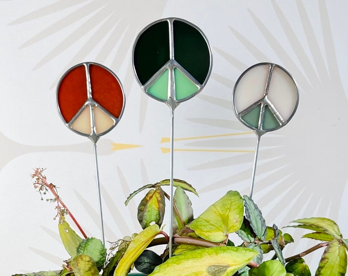 Samara Designs Studio