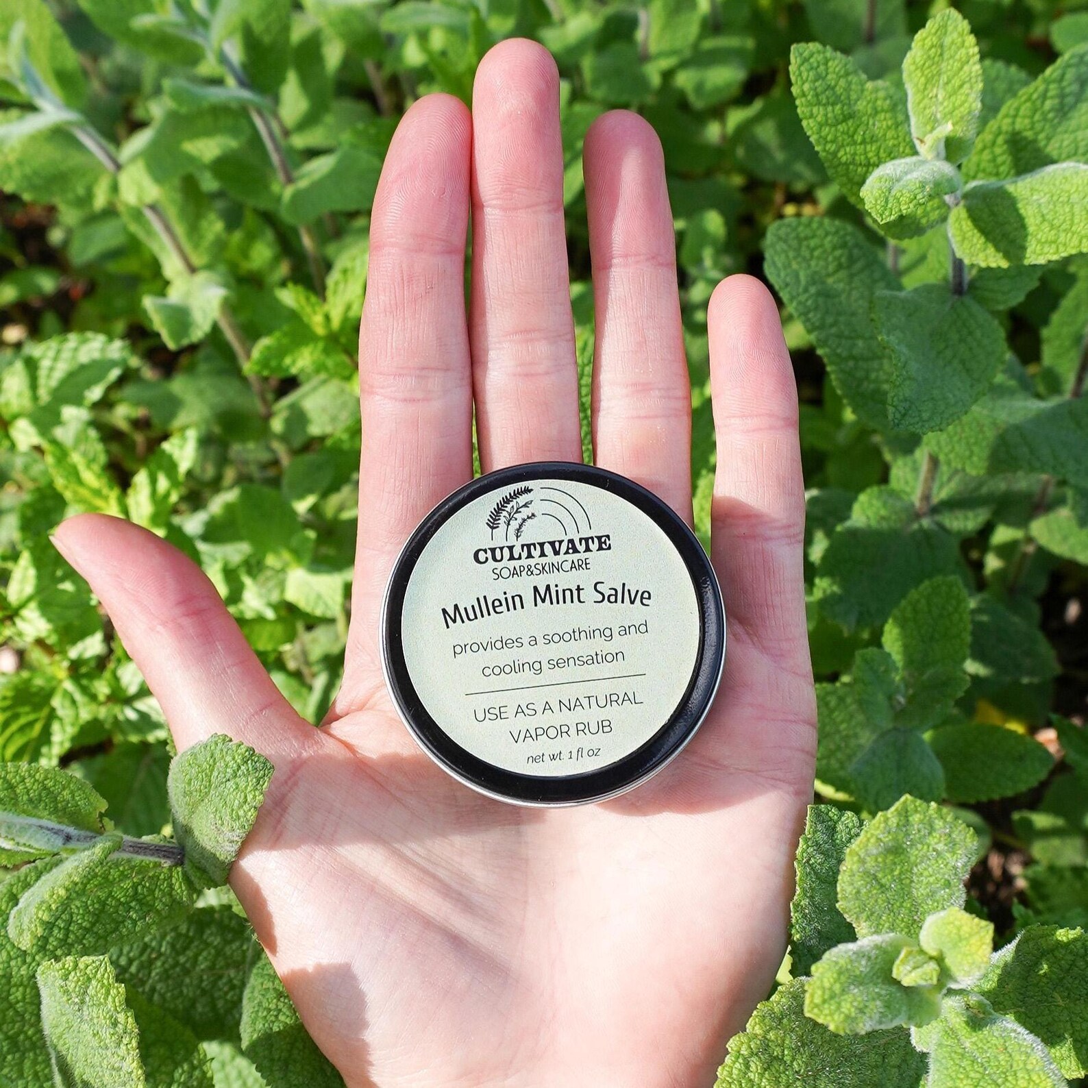 Mullein Mint Salve | Non-toxic Vapor Rub | Chest Rub | Menthol Aroma ...