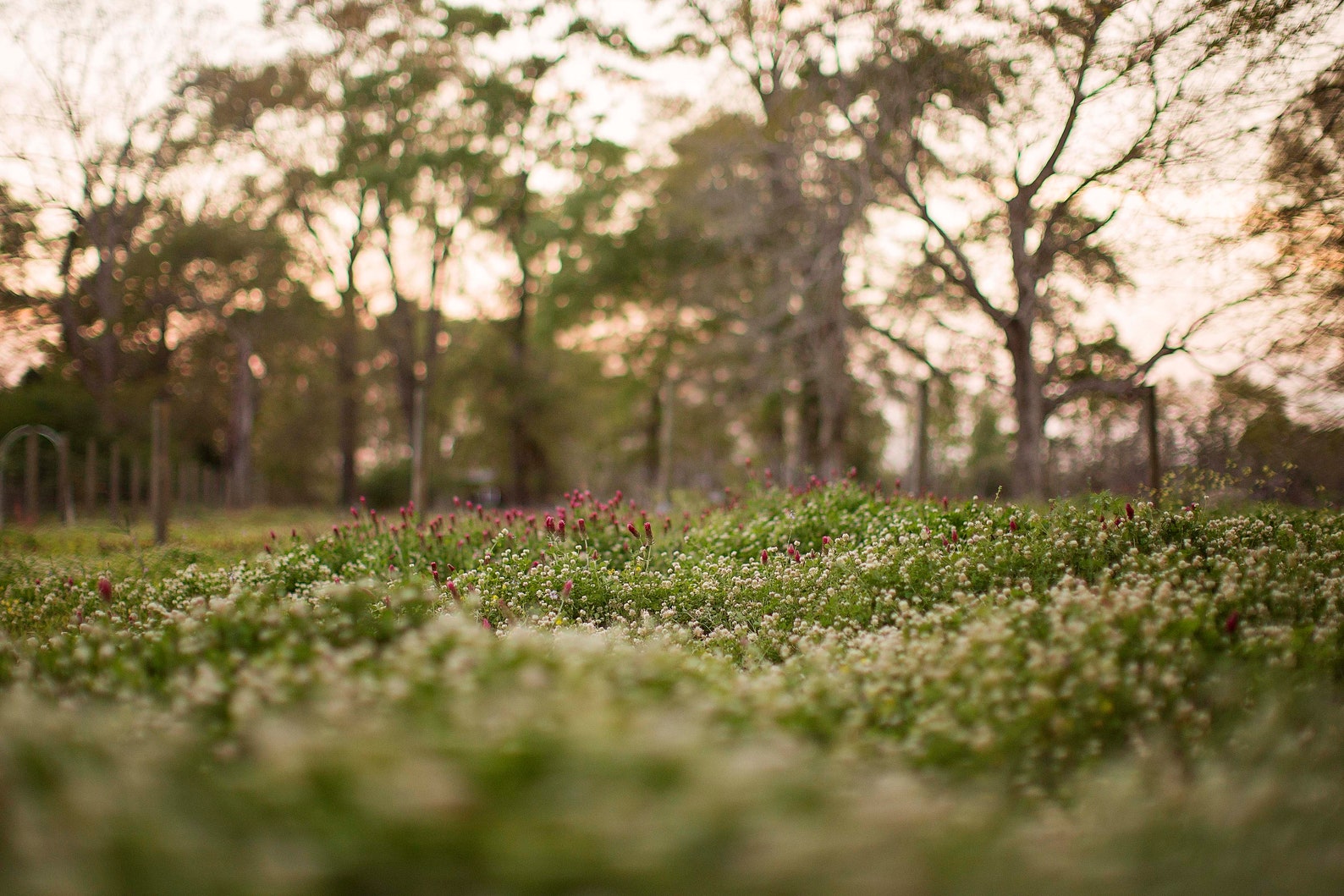 5 Outdoor Digital Backdrops - Etsy