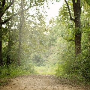 Outdoor Digital Backdrop - Etsy