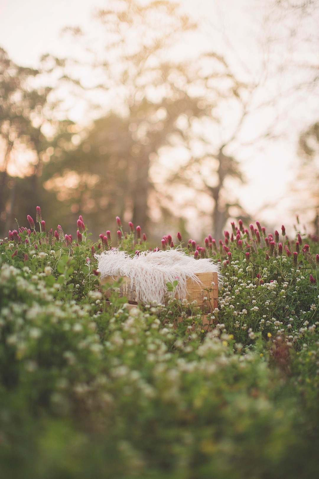 4 Newborn Outdoor Backdrops - Etsy