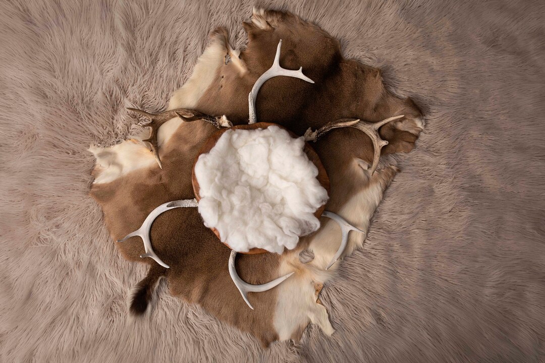 Deer Newborn Digital Backdrop - Etsy