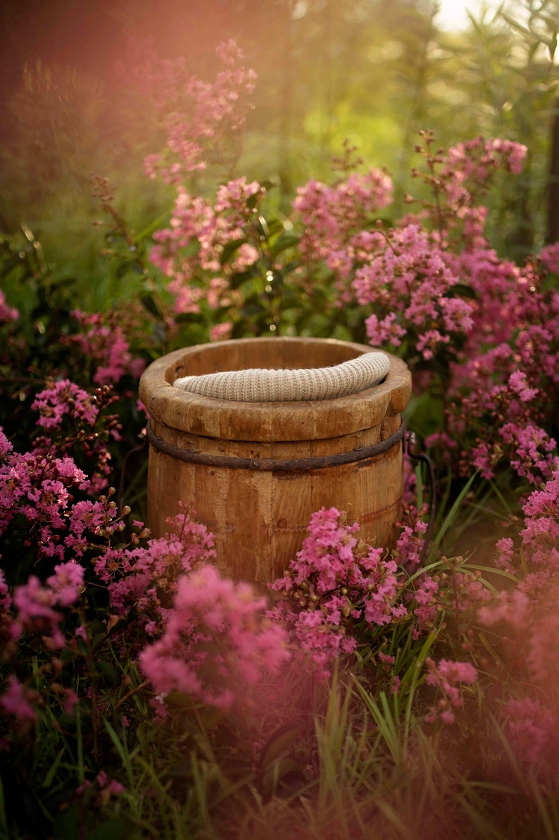 Newborn Outdoor Digital Background - Etsy