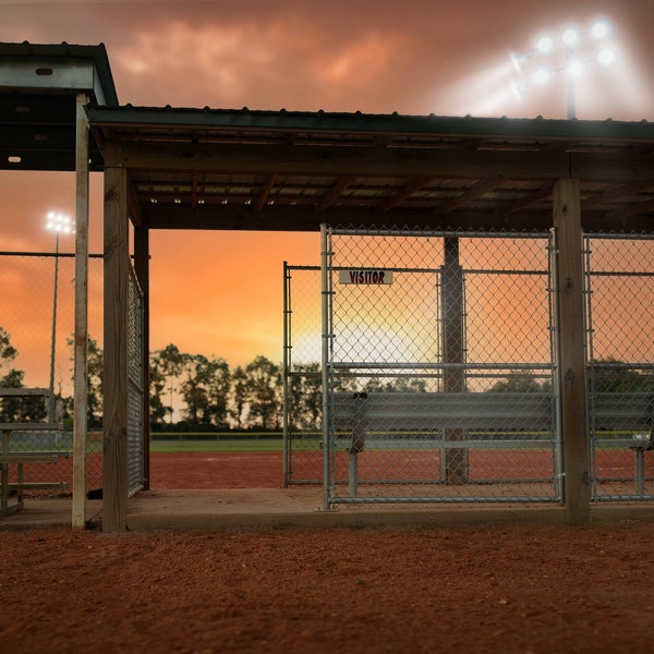 Baseball Softball Field Digital Background - Etsy