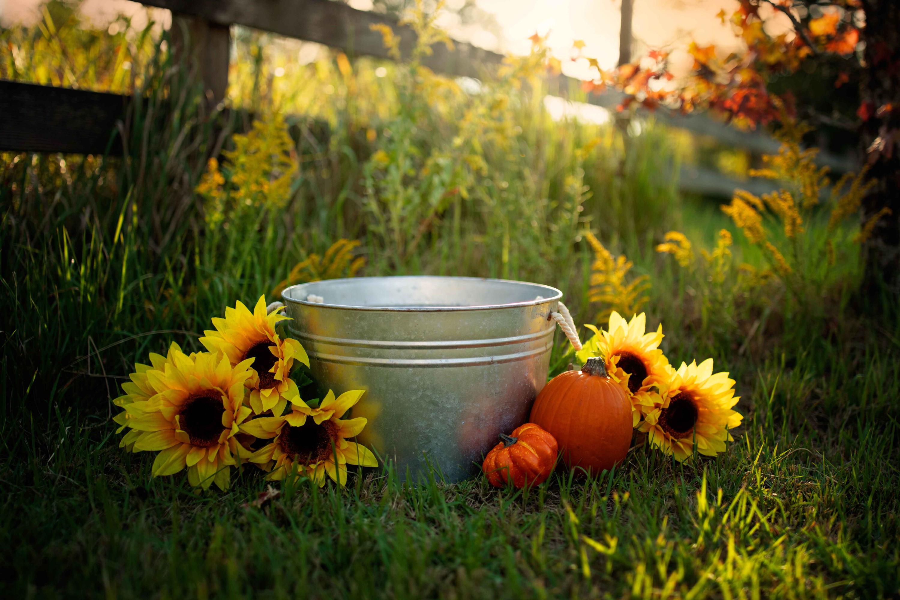 Fall Washtub Digital Background - Etsy