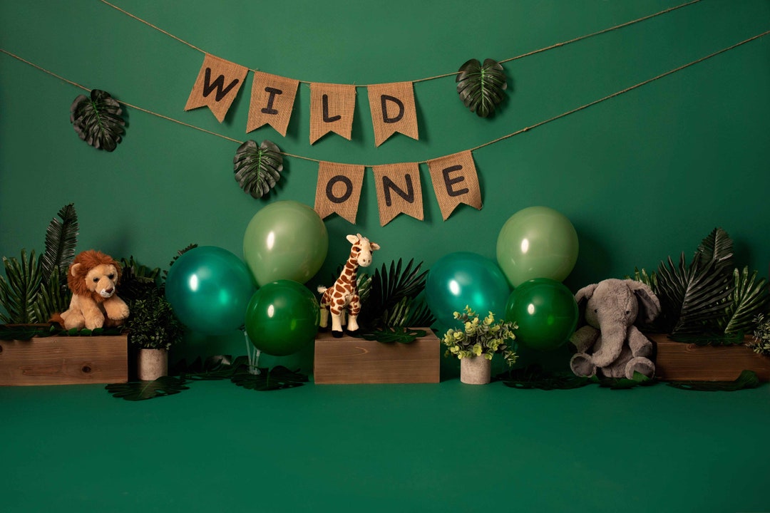 Wild One Digital Backdrop - Etsy