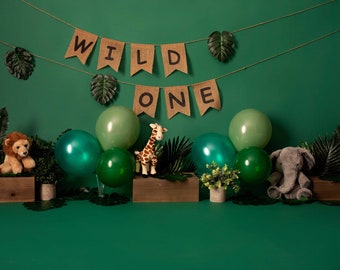 WILD ONE 1st BIRTHDAY Digital Backdrop Background Photography Template ...