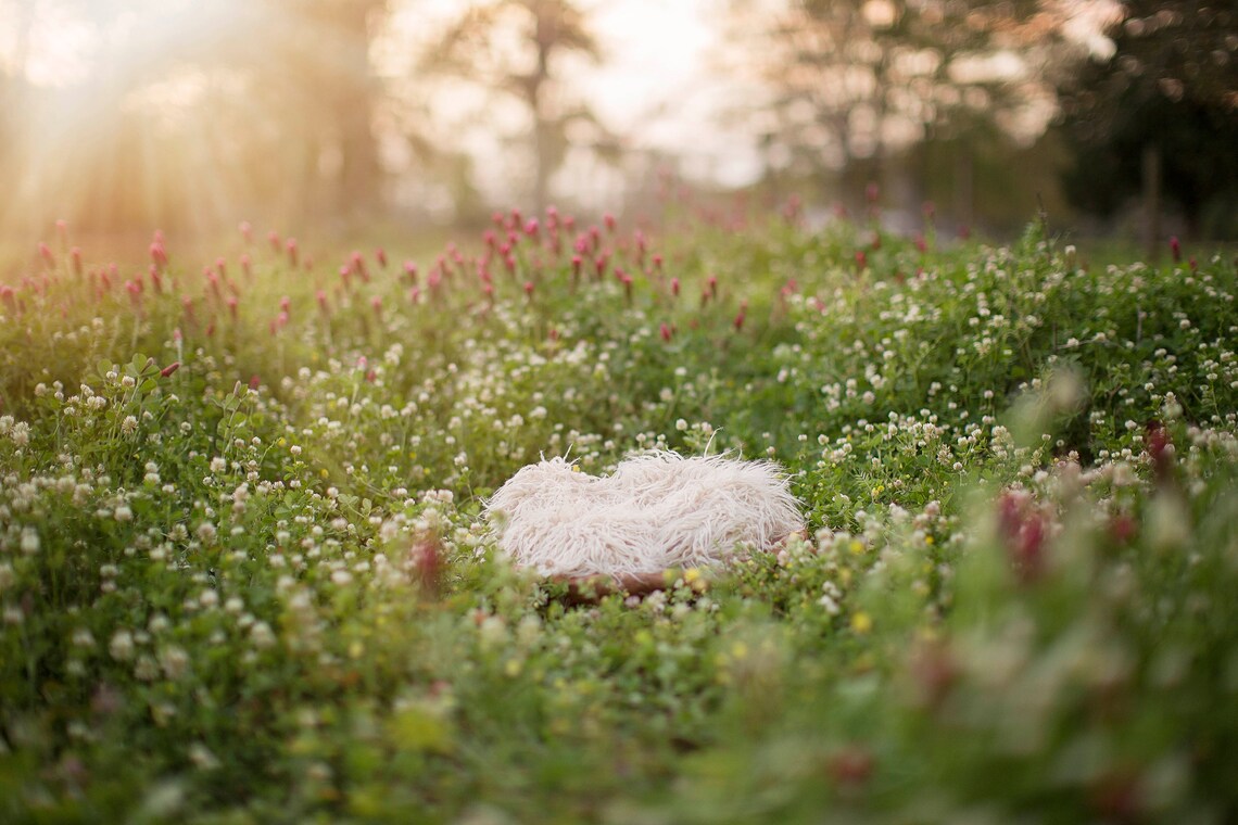 4 Newborn Outdoor Backdrops - Etsy